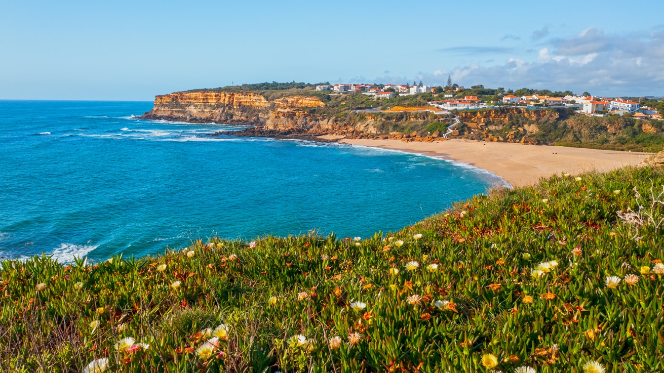 Experience Portugal's Spring Beauty: Wildflowers, Festivals & Whale ...